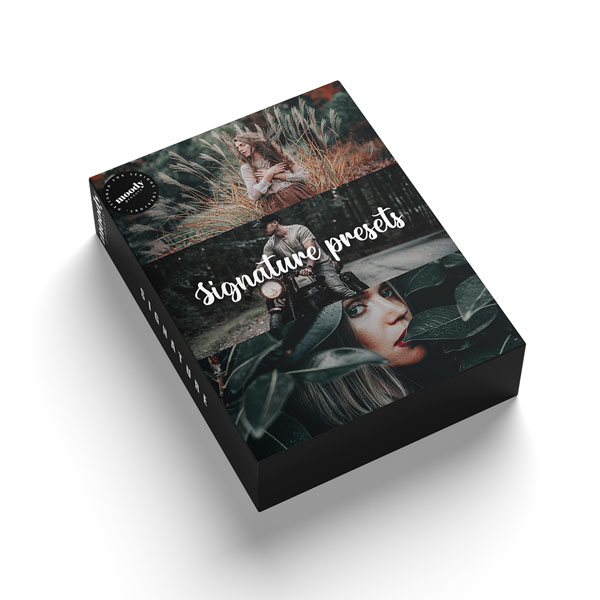 Home - Moody Presets