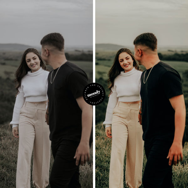 Premium Wedding Presets COMBO- 98 Premium Presets - Moody Presets